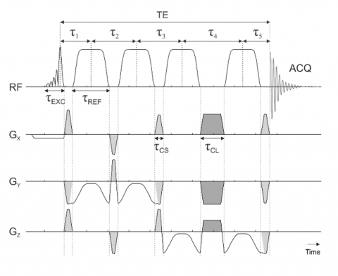(MEGA)-sLASER Single-Voxel MRS Sequence for C2P | MR SCIENCE Laboratory